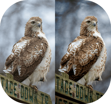 Mastering Masking in ON1 Photo RAW with Anthony Morganti