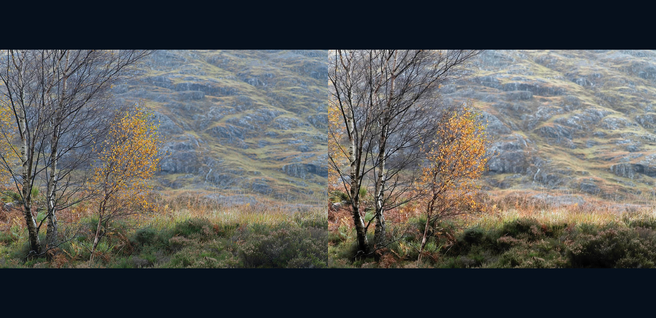 ON1 Photo RAW 2025 Master Class Photo Kit - ON1