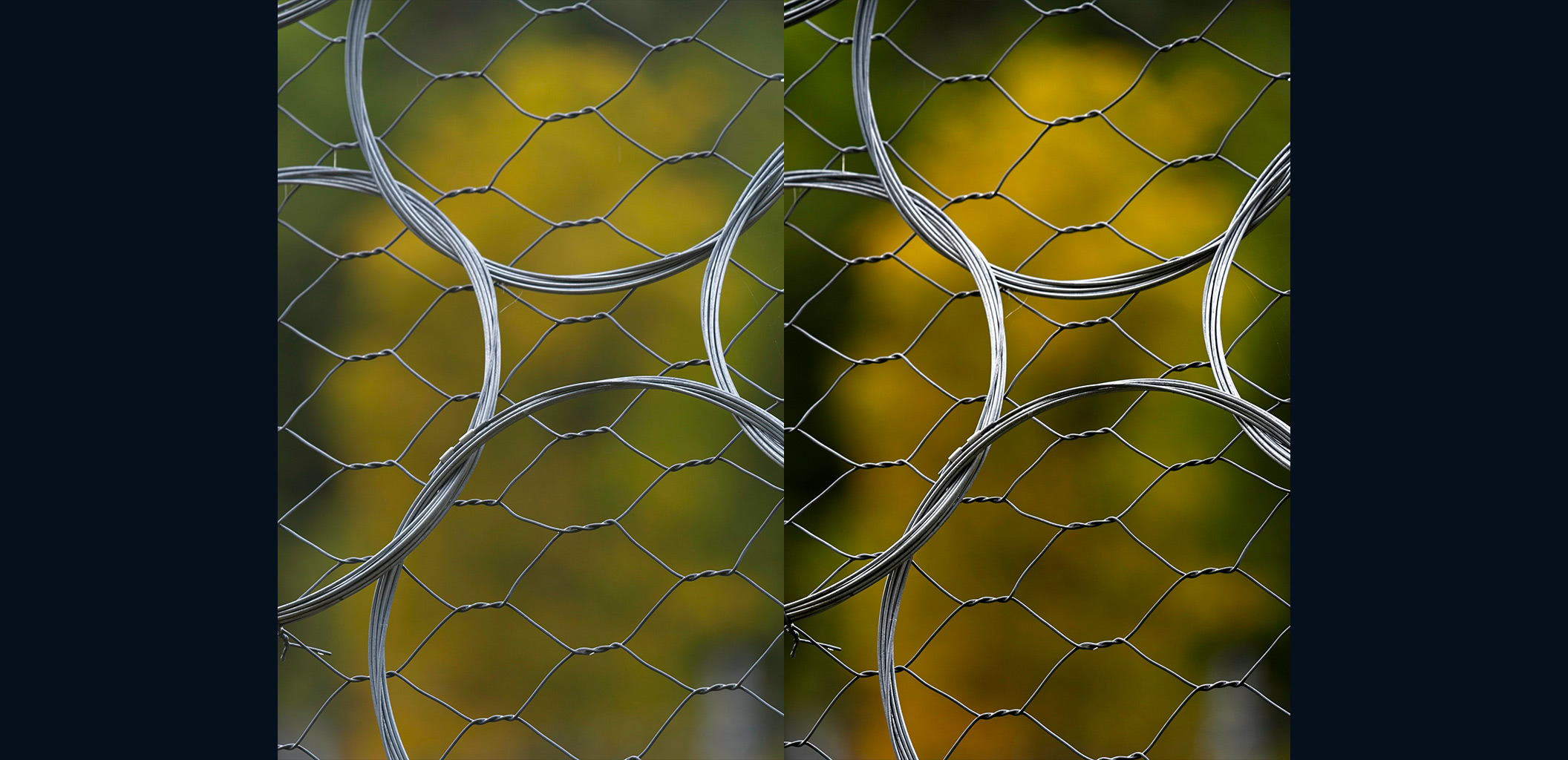 ON1 Photo RAW 2025 Master Class Photo Kit - ON1