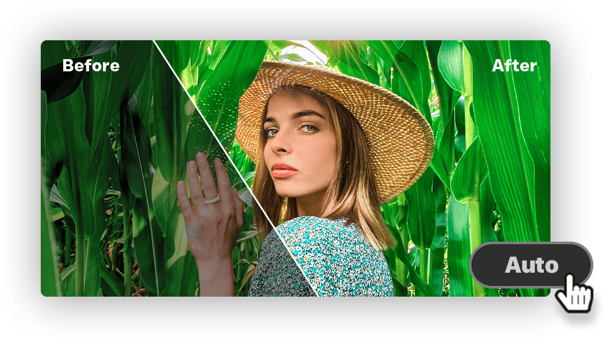 Lightpanel – AI Photo Culling and Editing Software for Lightroom Classic