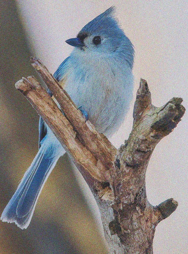 Raw Photo Editor | Buy Raw Photo Editing Software Online - ON1