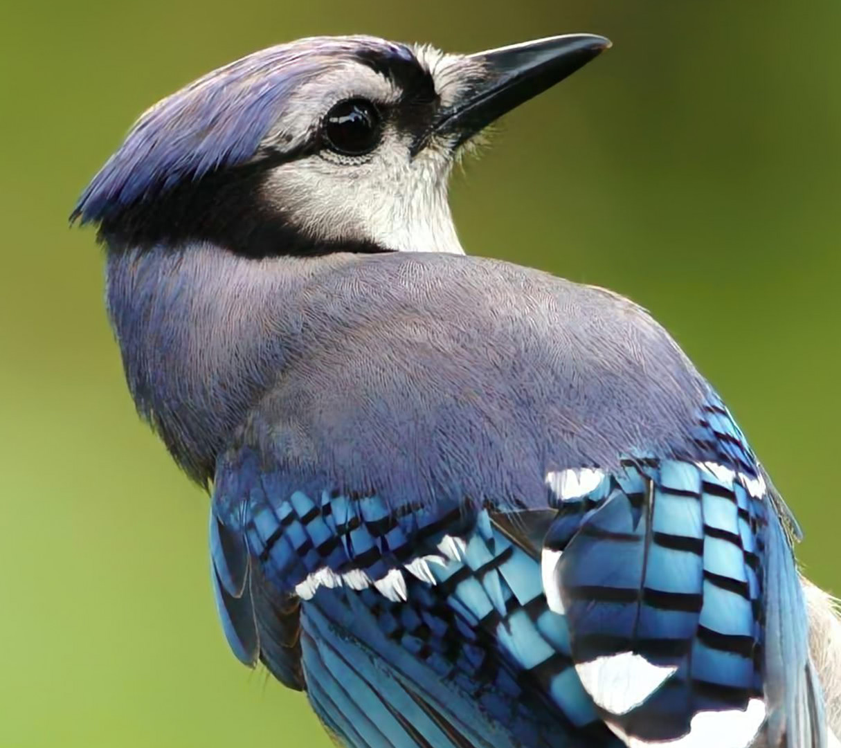 Raw Photo Editor | Buy Raw Photo Editing Software Online - ON1