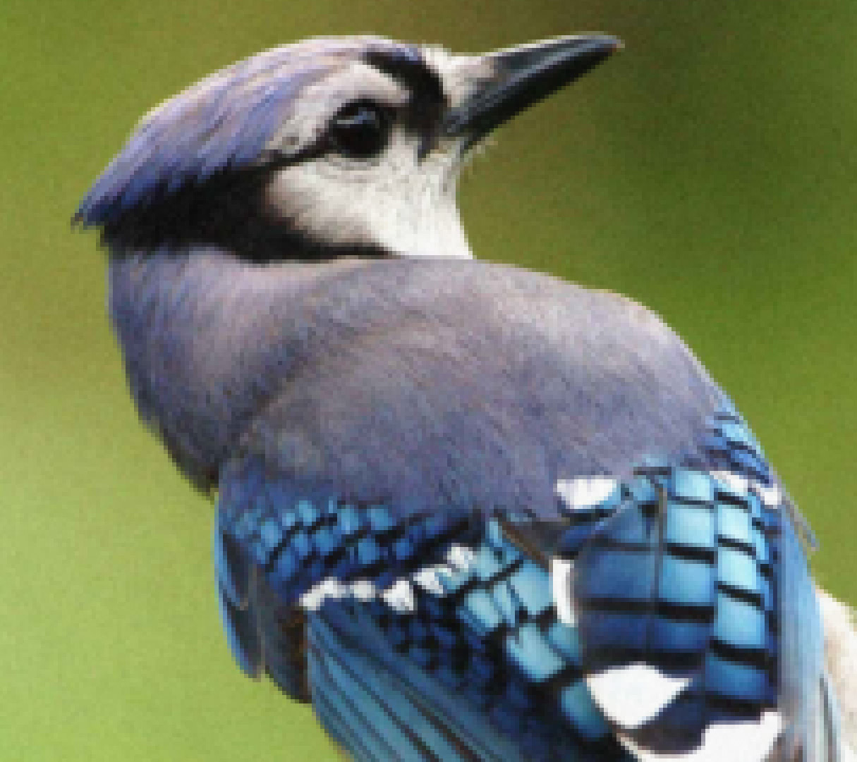 Raw Photo Editor | Buy Raw Photo Editing Software Online - ON1