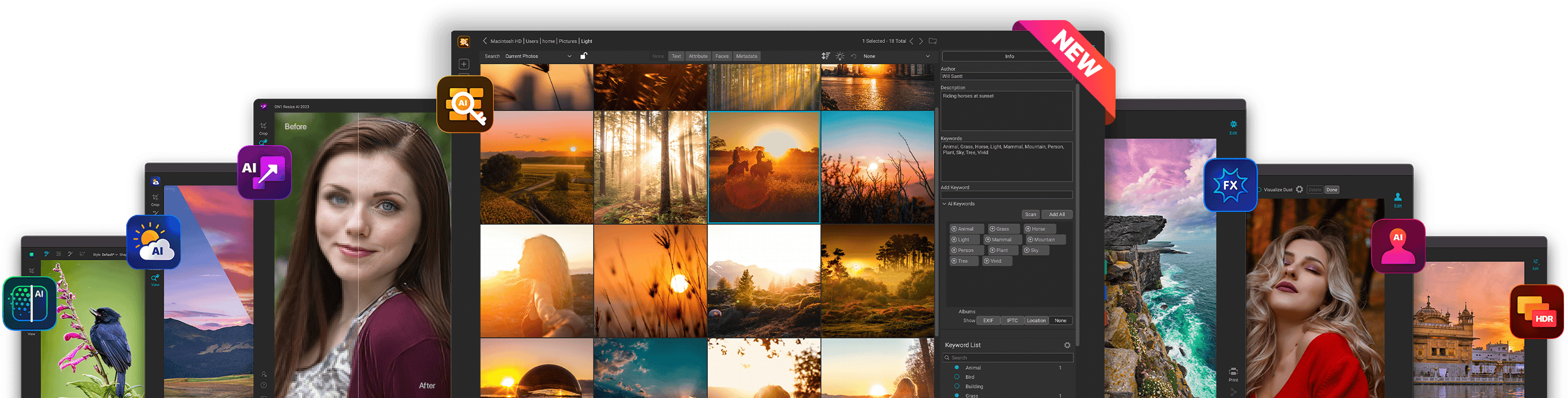 Photoshop & Lightroom Plugins | Buy Plugins for Photoshop & Lightroom - ON1