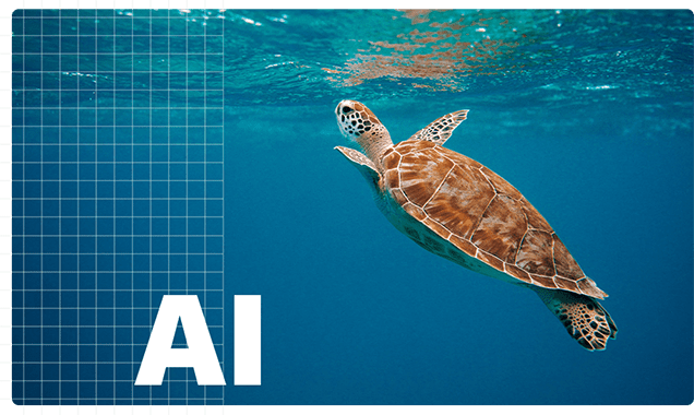 Capture One Plugins | Buy Plugins for Capture One - ON1