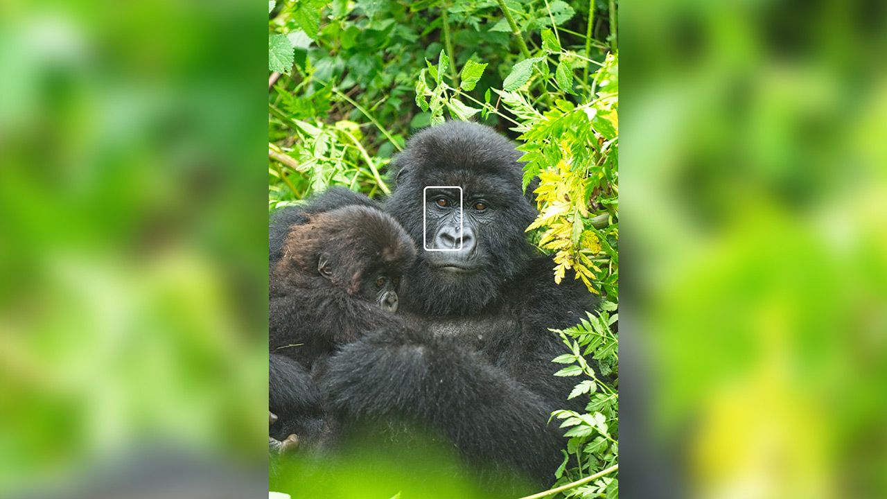 Photo Enlargement Science is in the Details - ON1