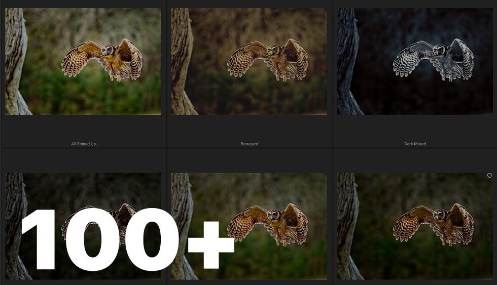 What’s New in Photo RAW 2024 - ON1