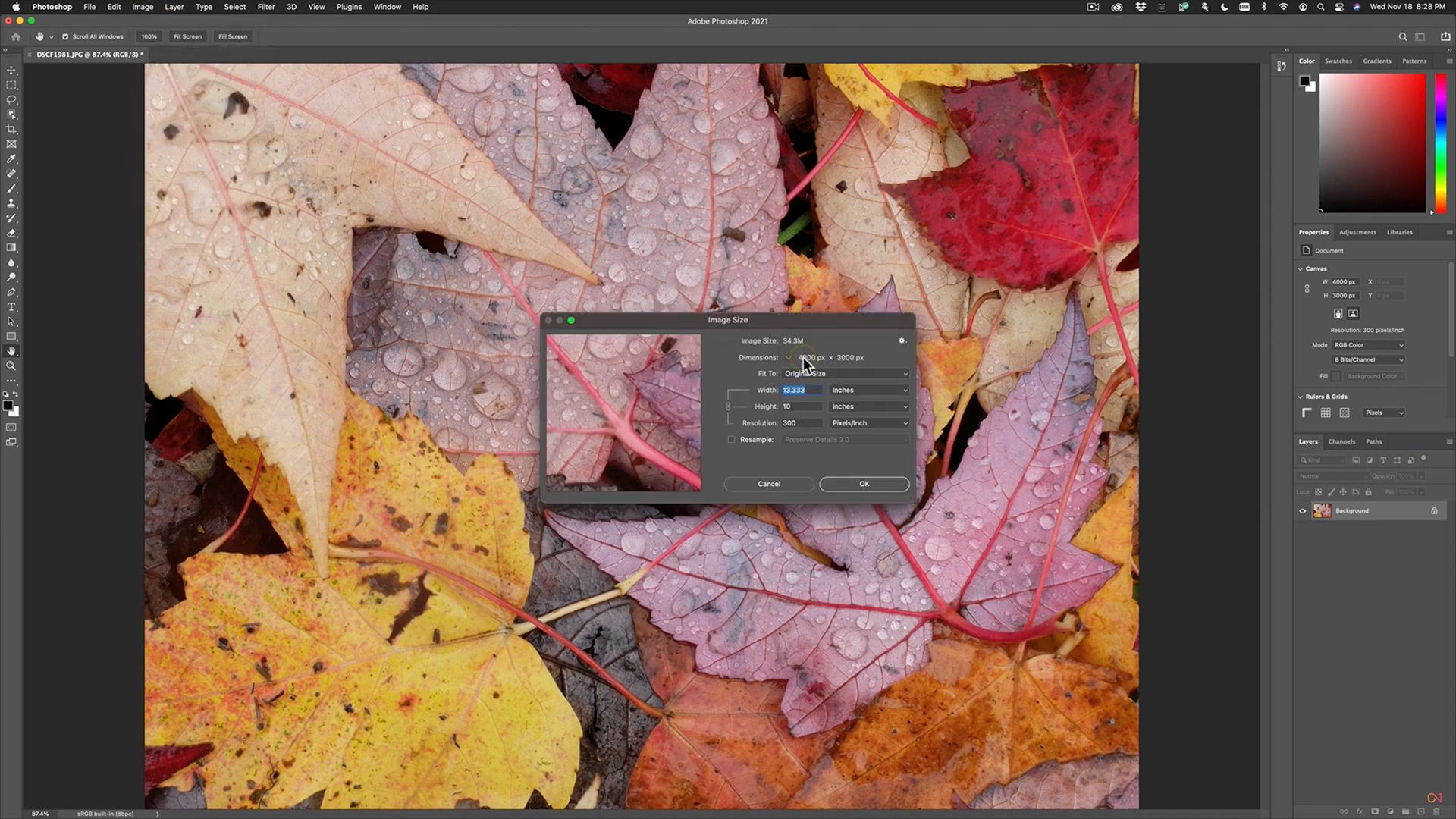 Photoshop Plugins | Download Adobe Photoshop Plugins Online - ON1