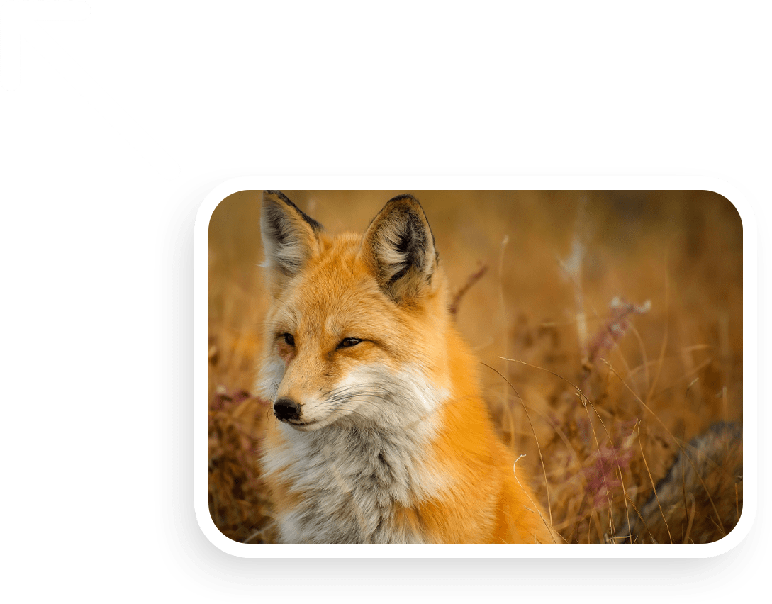 AI Image Resizer & Photo Enlargement Software - ON1